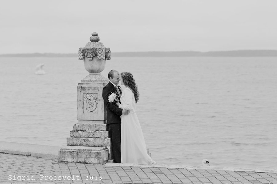 Pulmapildid Haapsalus - Fotostuudio Fotopesa