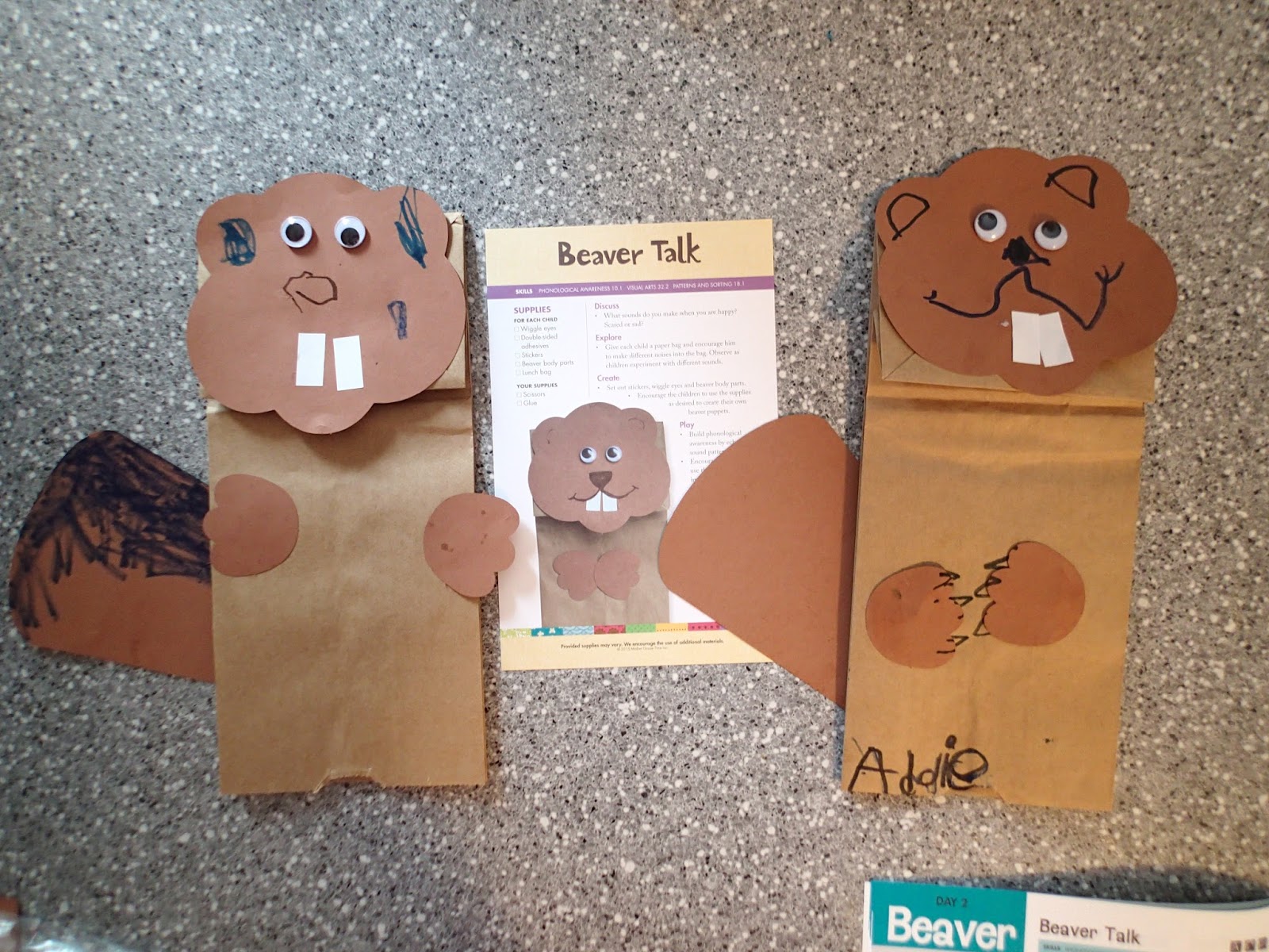 1 Day at Home: Beavers