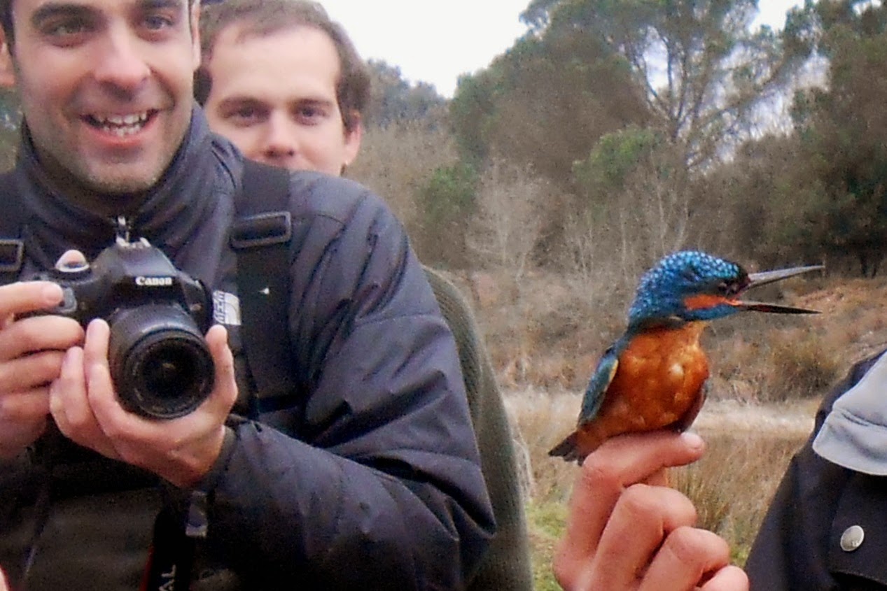Bloc de Can Rifà-Font: JORNADA NATURALISTA BEN COMPLETA AL DARÓ