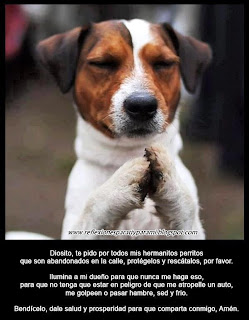 Reflexiones para TI y para MÍ: // Diosito, te pido por todos mis ...