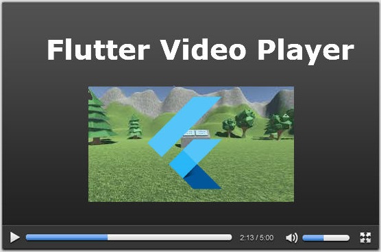 Flutter Playing Local Network And Youtube Videos With Video Player