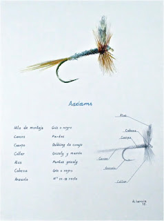 Artificial flies for fishing drawings and paintings: EPHEMEROPTERA