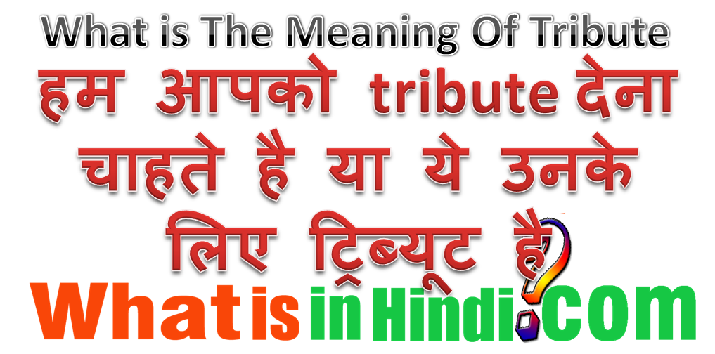 Tribute का मतलब क्या होता है | What is the meaning of Tribute in Hindi ...