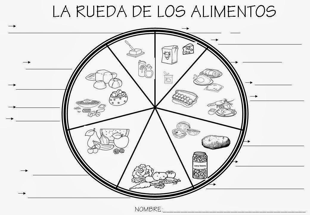 Aprender es divertido: La rueda de los alimentos