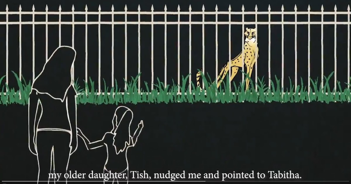 Franklin Matters: "The story of Tabitha. It's the story of us" (video)