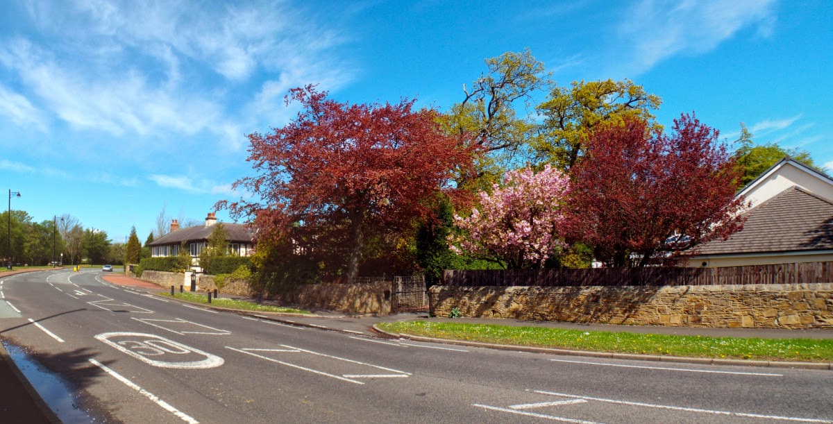 Photographs Of Newcastle: Woolsington Village