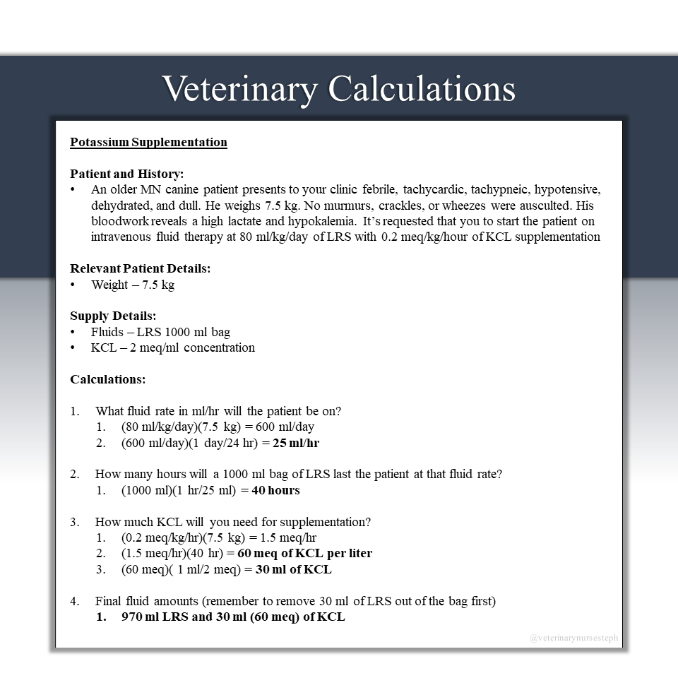 Veterinary Nurse Steph