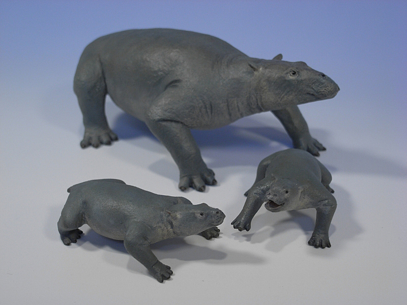 恐竜・古生物造形作品ギャラリー: デスモスチルス Desmostylus (2010)