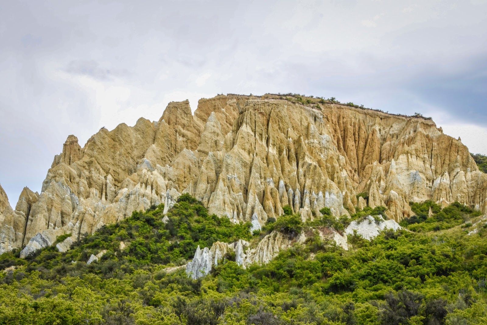 Paws Awhile: Omarama's Clay Cliffs