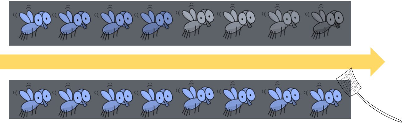 Positive selection이란? , Negative selection 이란 무엇일까?