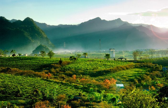 Munnar Becomes Busy as Snow Falls on the Mountain Peaks