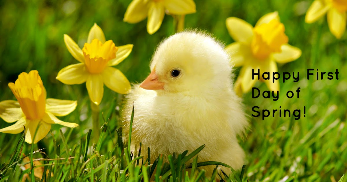 Blue Dog Marketing: Happy First Day of Spring!