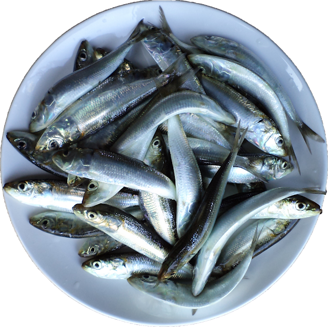 Mouthwatering Food Recipes: 173) MATHI MULAKITTATHE