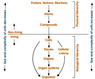 Global Dynamics Processes: the Pattern which Connects from KaliYuga to ...