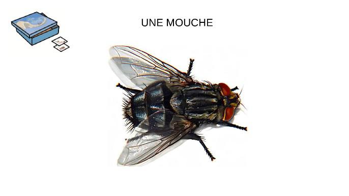 école maternelle Lacorre ARRAS: Lecture d'album : Bon appétit Monsieur ...
