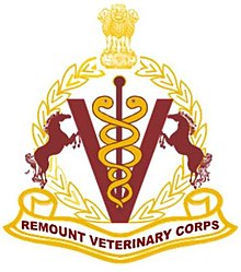 ‘Remount and Veterinary Corps’ Complete Selection Procedure In Indian Army