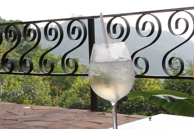 Inspired Imbibing: The Spirit of Costa Rica: Guaro?