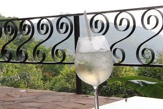 Inspired Imbibing: The Spirit of Costa Rica: Guaro?