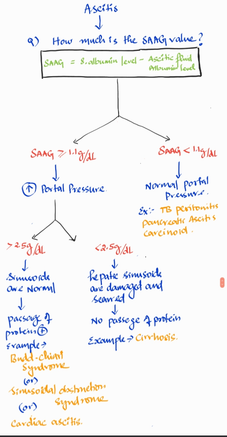 Serum-Ascites Albumin Gradient (SAAG) Ratio