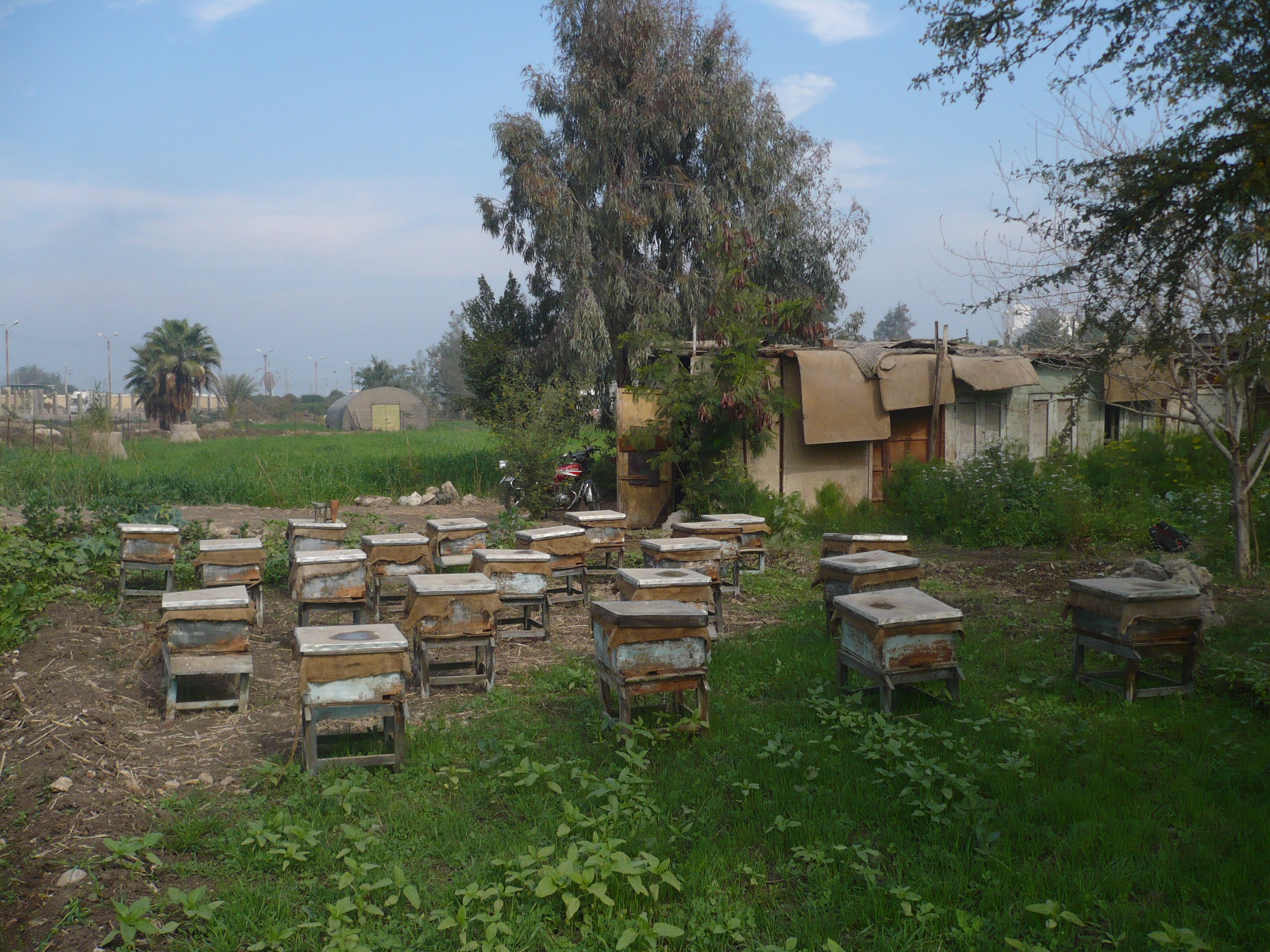 A Detour by Way of the Beehive: Modern Egyptian Beekeeping (in Pictures)