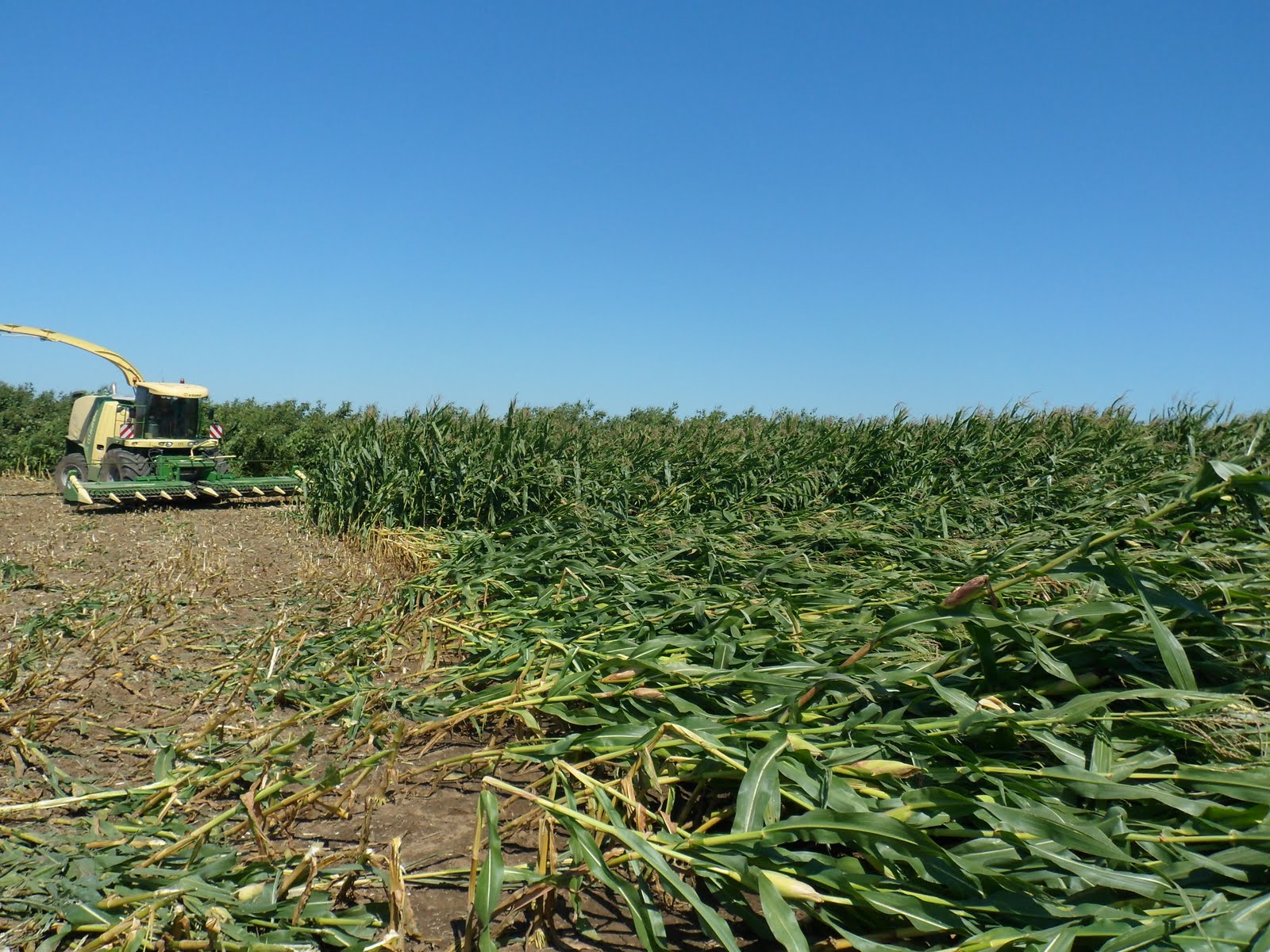 BiG Performance Demo Days 2011