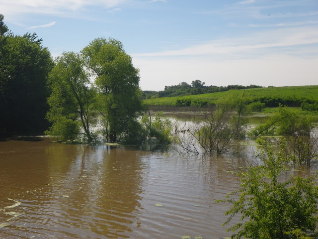 The Lost Grove Lake Mapping Project