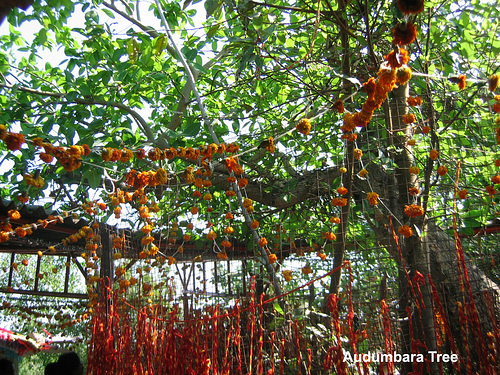 hema..........the gold: ganugapuram , akkalkotkar , pandaripuram ....