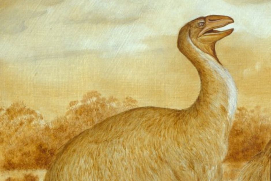 La noche de los gigantes (IV). La Megafauna Australiana.