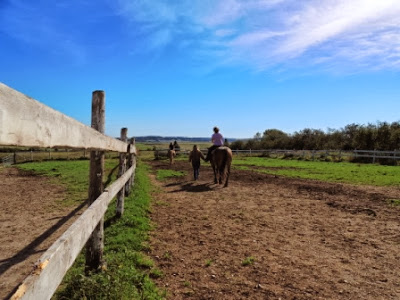 Teena in Toronto: Horseback riding at Broadleaf Ranch, NB