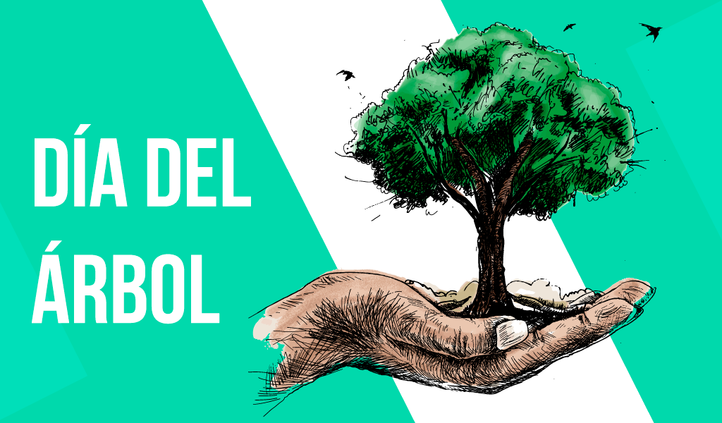 E.P. N°21: Día del Árbol: por qué se celebra el 29 de agosto