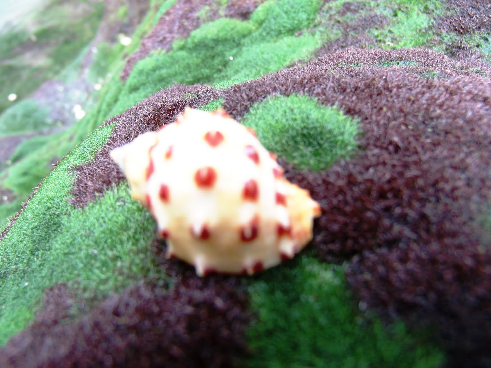 Traveling Morion | Travel + Photography: 2011 First Summer Destination ...