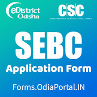 Odisha eDistrict - Declaration Form (Minor Applicants) Download (CSC e ...