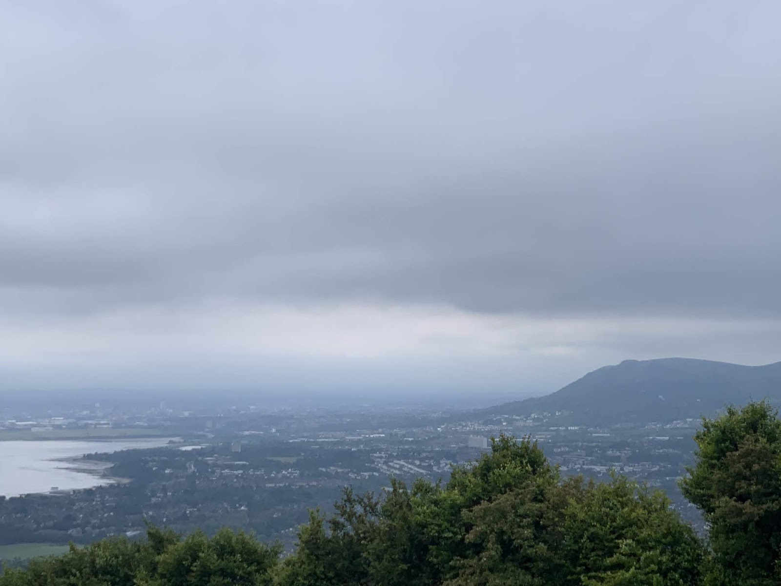 Animal, Nature, and Travel: Knockagh Monument in Belfast, Northern Ireland