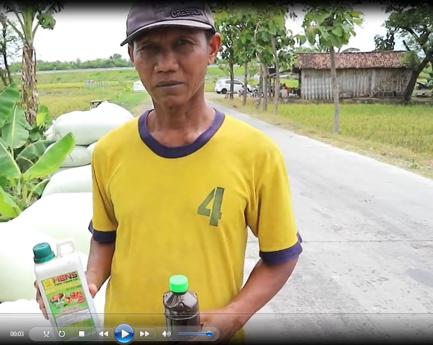 POC Hens Kadar C Organiknya 11.5% Pupuk Kimia Dikurangi 50% Tanaman ...