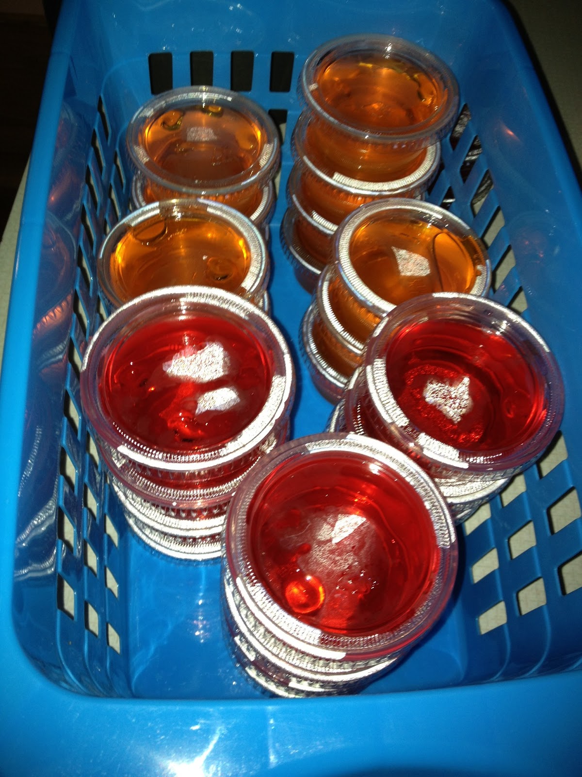 Learning In Grace: DIY Jello and Pudding Snack Cups