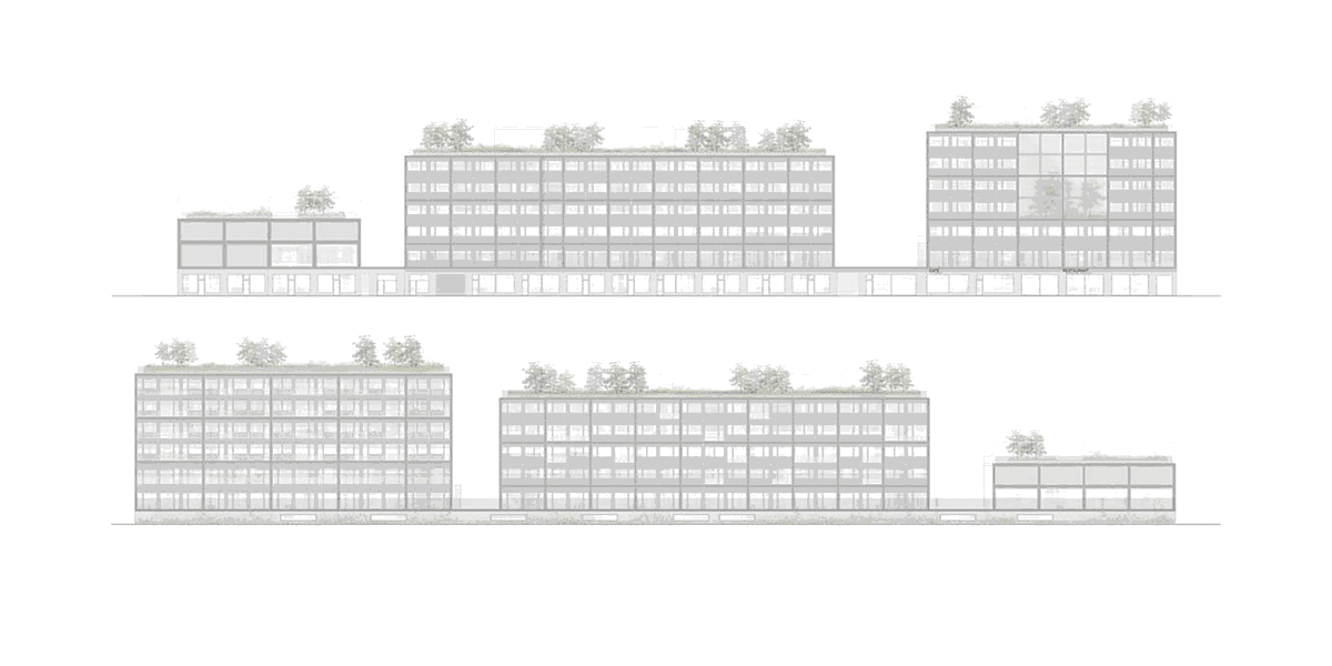 EM2N – a f a s i a