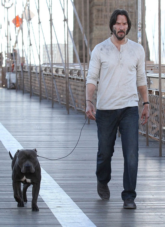 VJBrendan.com: Dudes With Dogs... Keanu Reeves