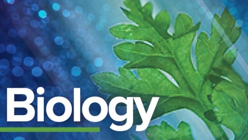 A/L Biology 2019 Model Paper - www.lkedu.lk