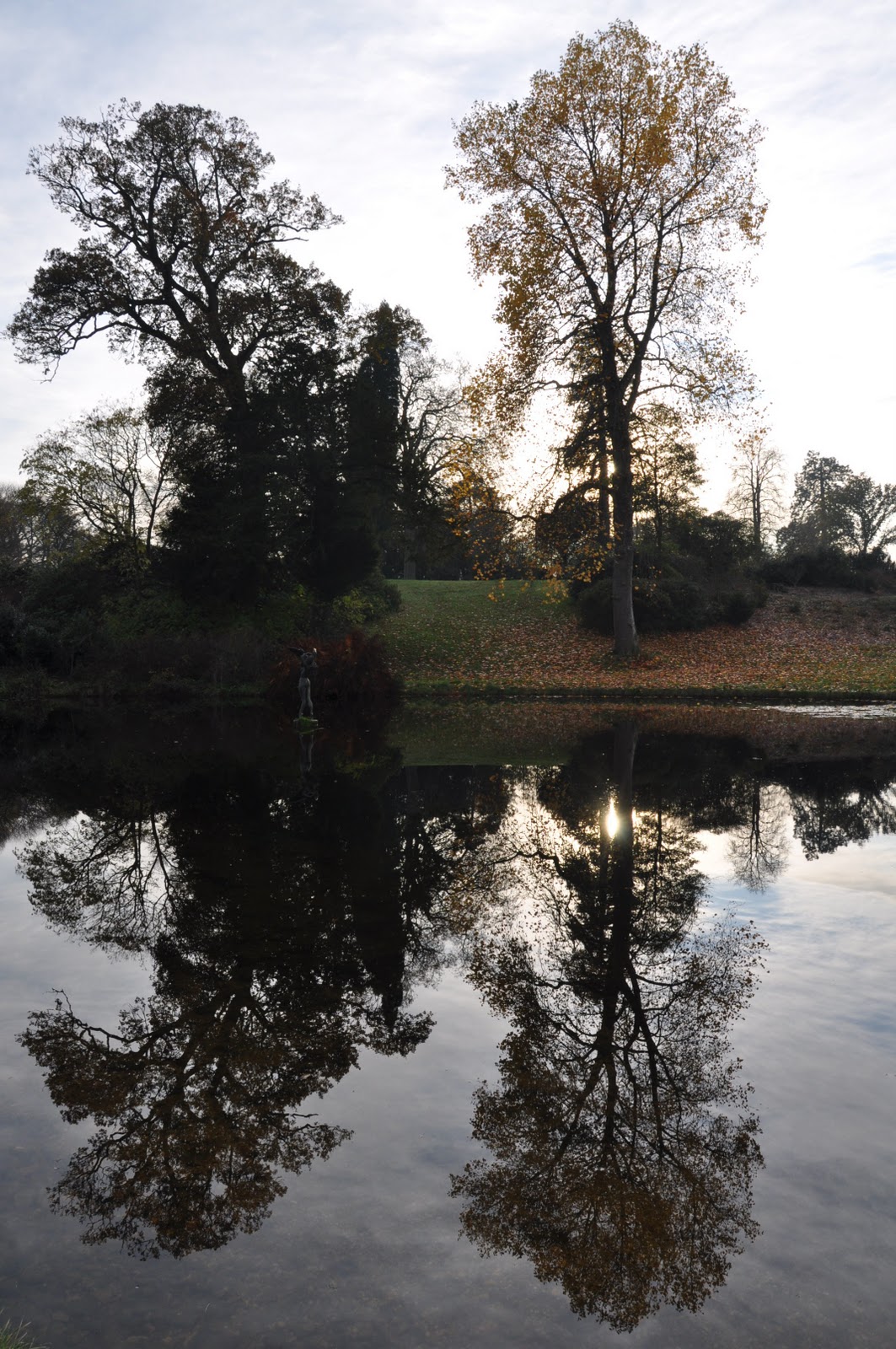 Cats, Dogs and Eiderdowns: Forde Abbey in November