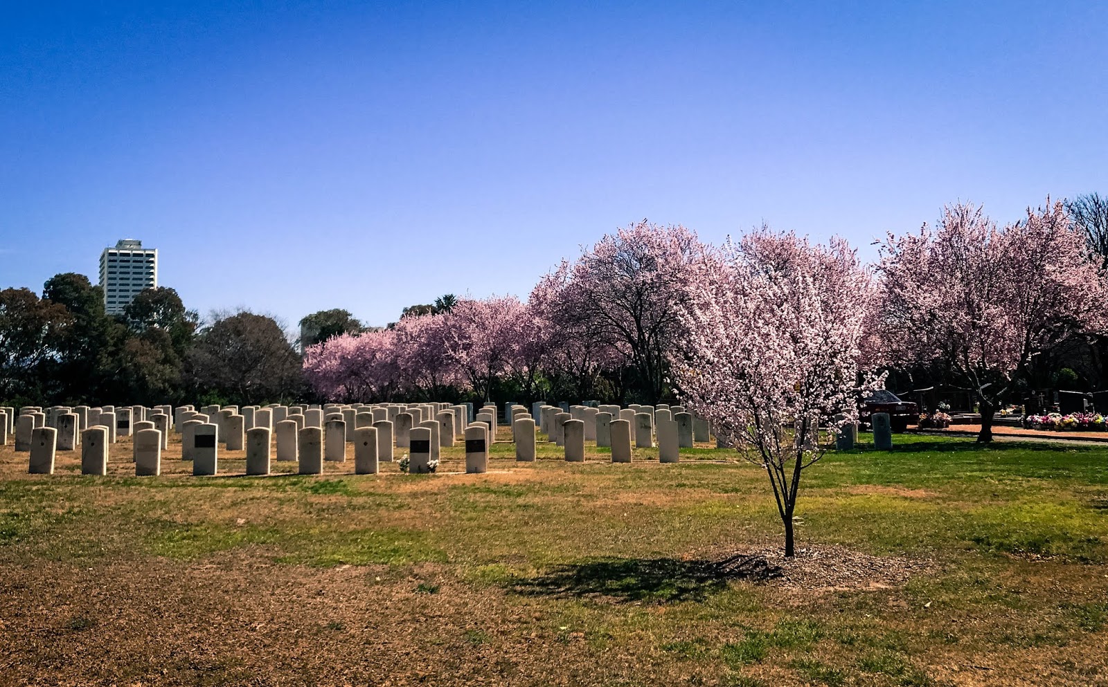 My week in pictures: September 2018