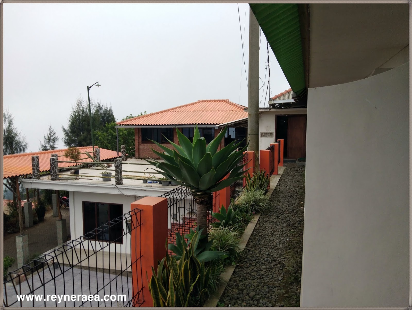 √Review Hotel Ancala Inn, Penginapan Dekat Penanjakan Bromo