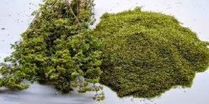 ΣΥΝΤΑΓΕΣ ΚΑΙ ΧΡΗΣΙΜΕΣ ΣΥΜΒΟΥΛΕΣ ΓΙΑ ΤΗΝ ΝΟΙΚΟΚΥΡΑ: ΡΙΓΑΝΕΛΑΙΟ ΤΟ ΦΥΣΙΚΟ ...
