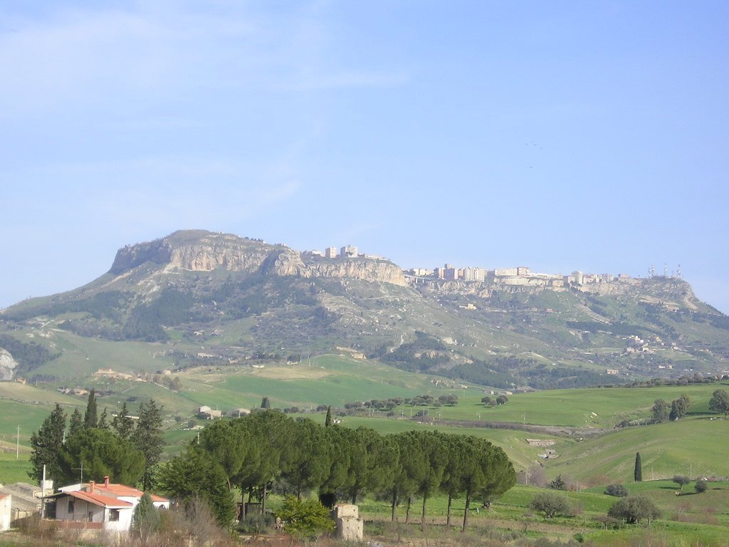 Ovid's Metamorphoses: . . . that faire field of Enna