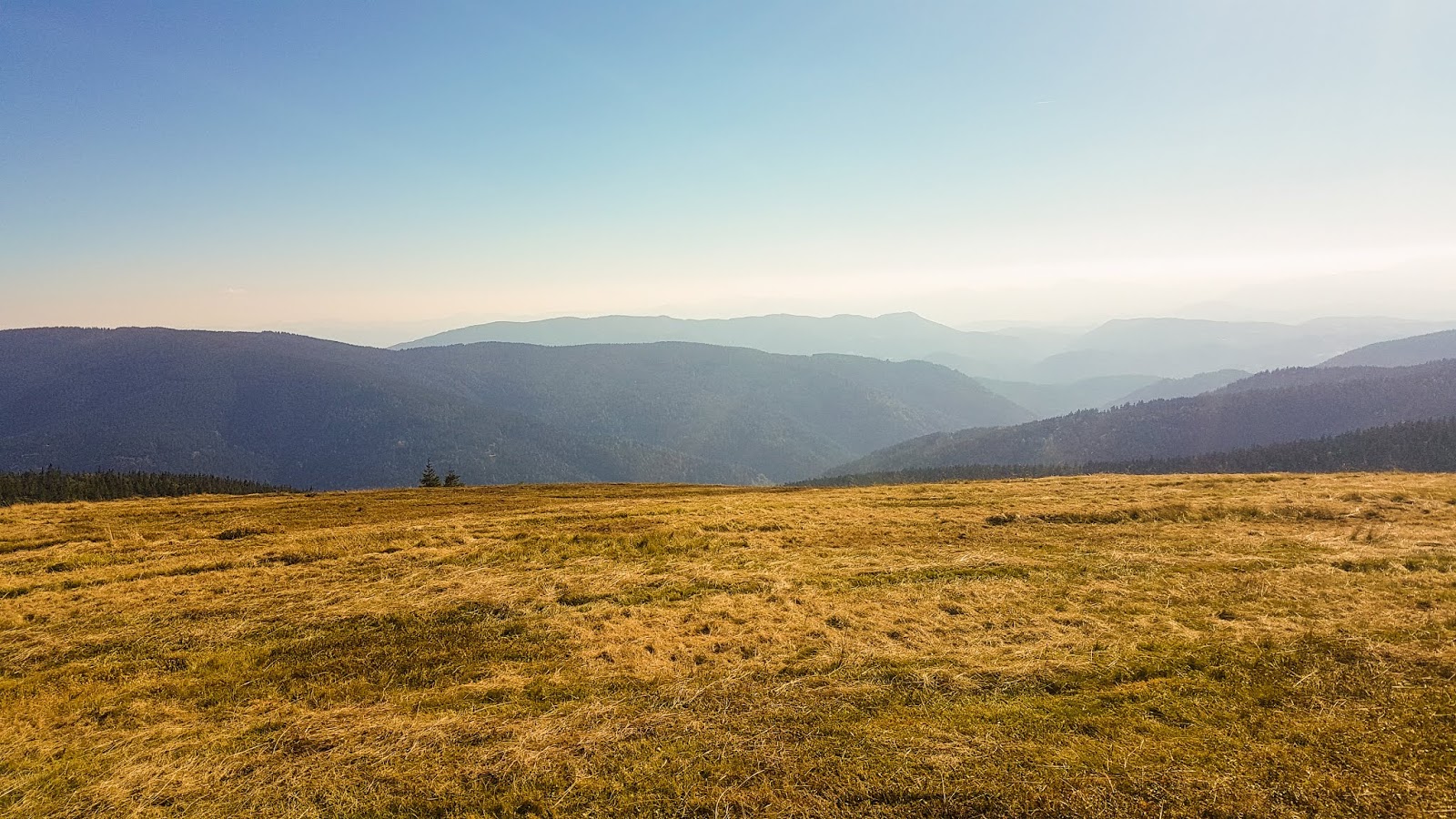 Po Slovenski planinski poti po Pohorju od Maribora do Slovenj Gradca