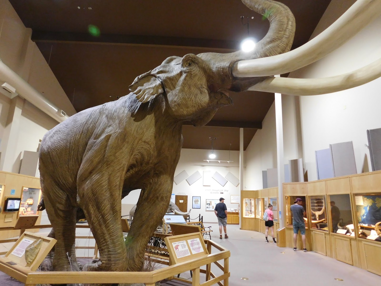 Visiting Mammoth Dig Site and Evan's Plunge