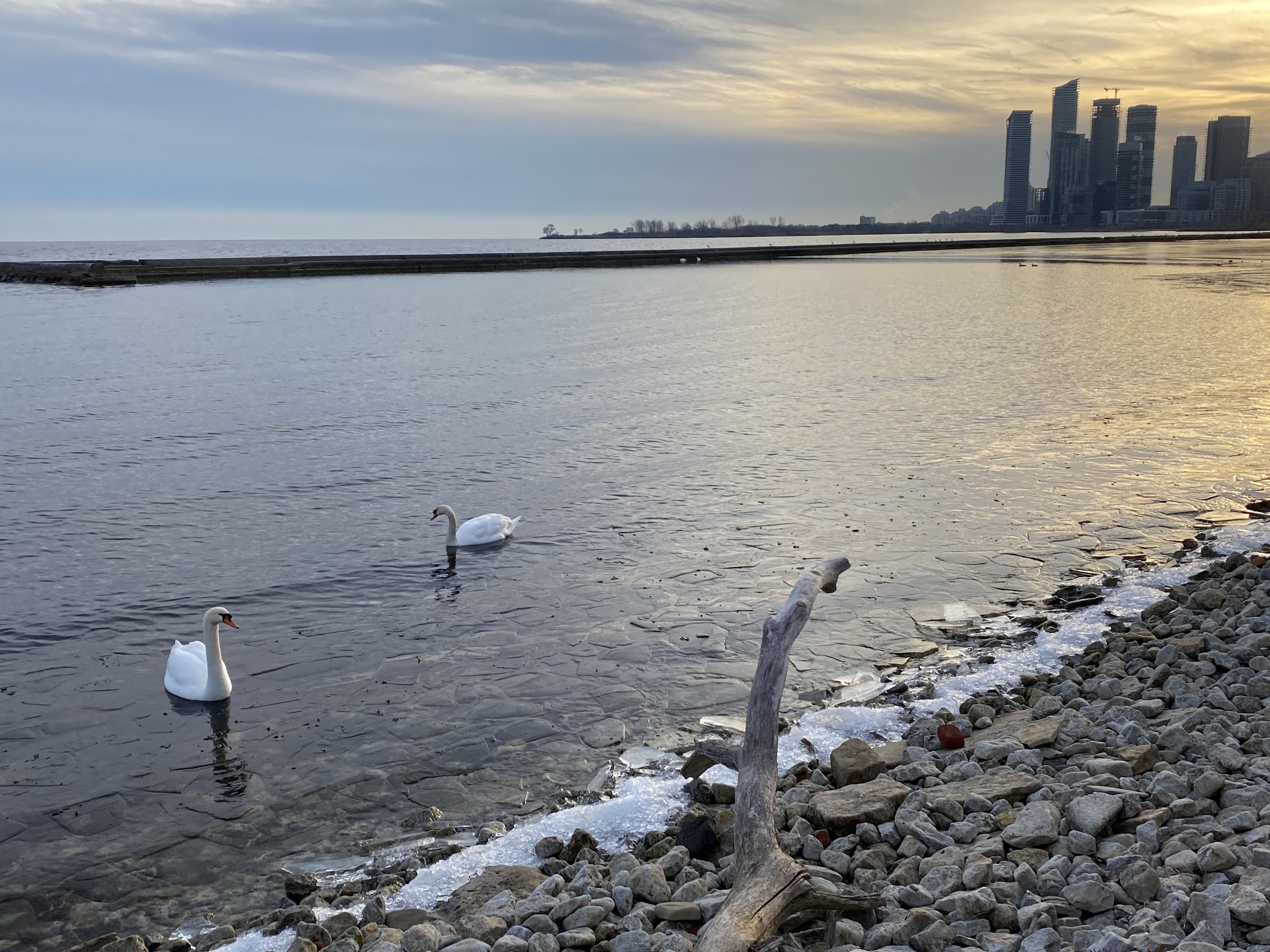 Teena in Toronto: Sunnyside Boardwalk and Sheldon Lookout, Toronto, ON