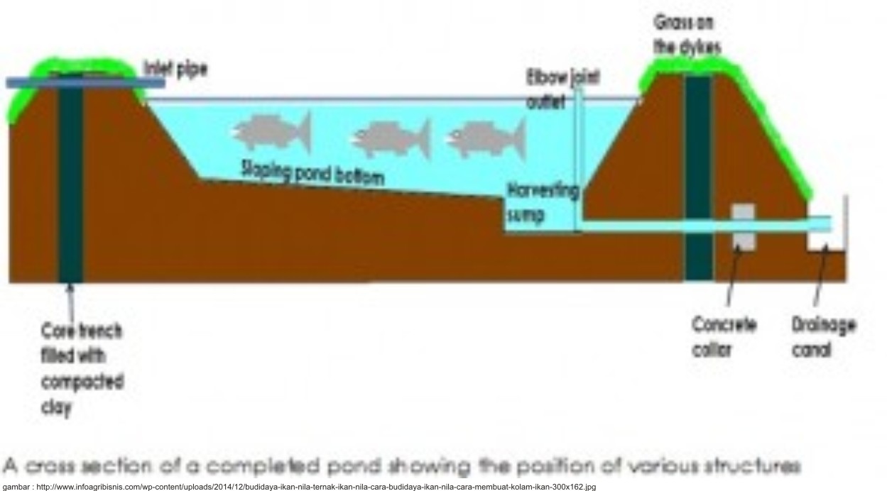 AzizBLOG: WADAH BUDIDAYA PERIKANAN ( KOLAM TANAH )