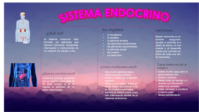 SISTEMA ENDOCRINO