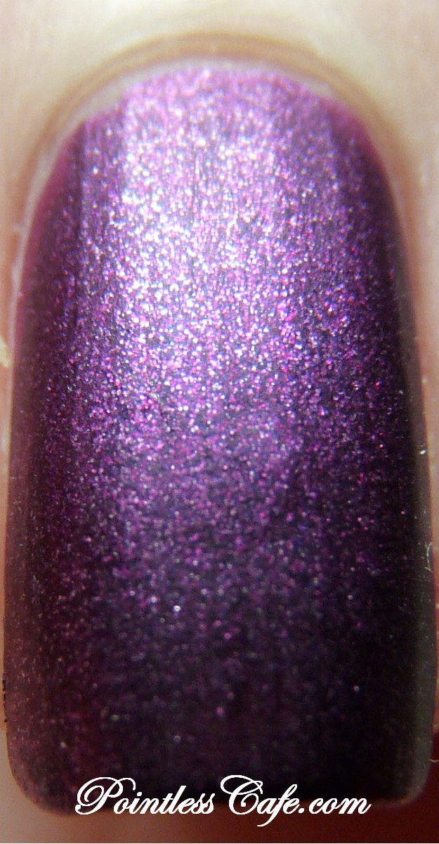 Pure Ice Velours | Pointless Cafe