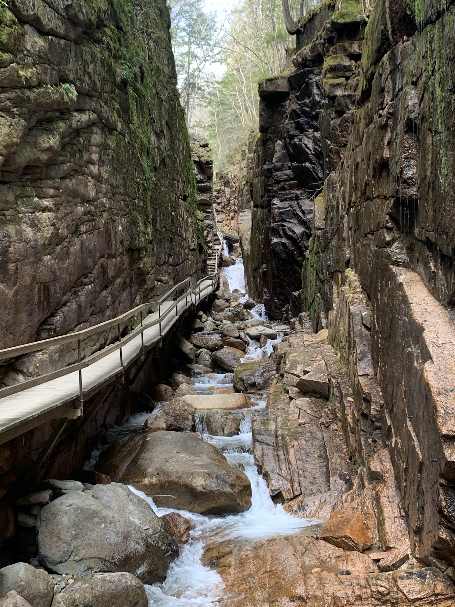 JCXC: The Flume Gorge, Avalanche Falls, and Sentinel Pine Bridge and Pool Hike